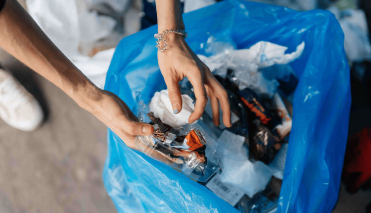 How to Reduce Plastic Waste in Your Daily Life? - b-dreams.com